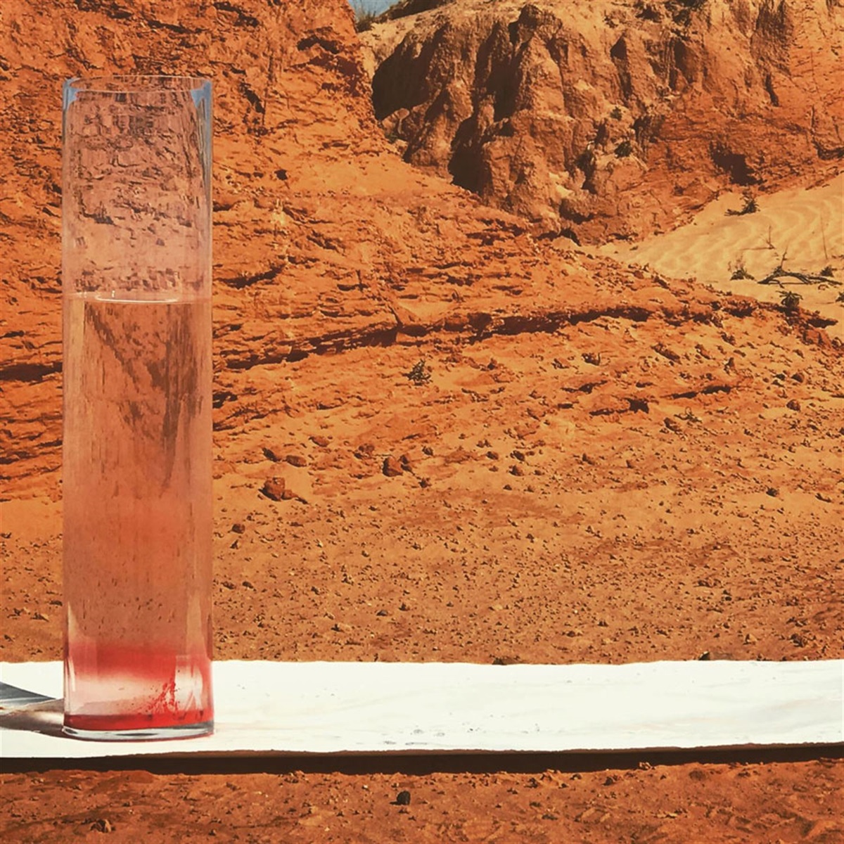 Nature of Redness | Woollahra Gallery at Redleaf